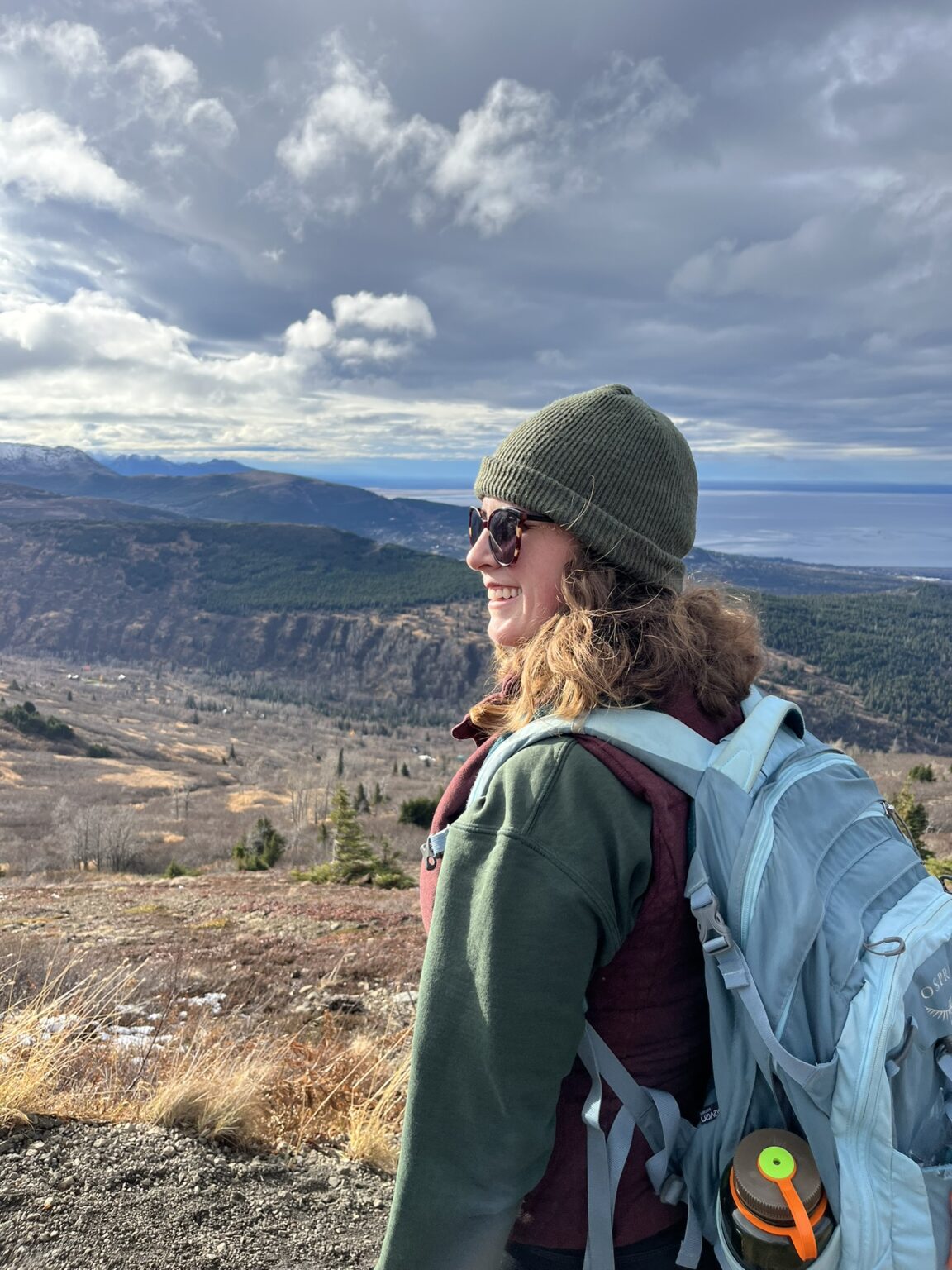 People – Arctic Telecoupling